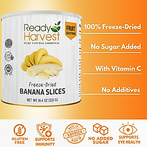 Ready Harvest Freeze Dried Bananas Freeze Dried Fruit Freeze Dried Food Gluten Free Snacks, Fruit Snacks, Canned Food, Bug Out Bag, Camping Essentials, Veggie Snacks #10 Can, 25-year shelf life 521g