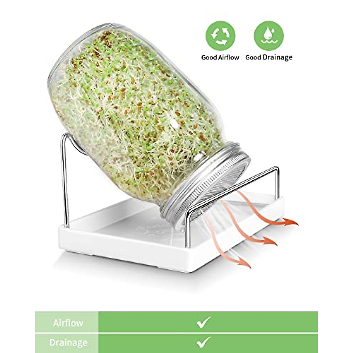 RAYPLE Sprouting Jar Kit, 2 Wide Mouth Mason Jars, Premium Stainless Steel Screen Sprout Lids, Blackout Sleeves, Tray, Stand, Sprouting Kit for Growing Broccoli,Alfalfa,Mung Bean