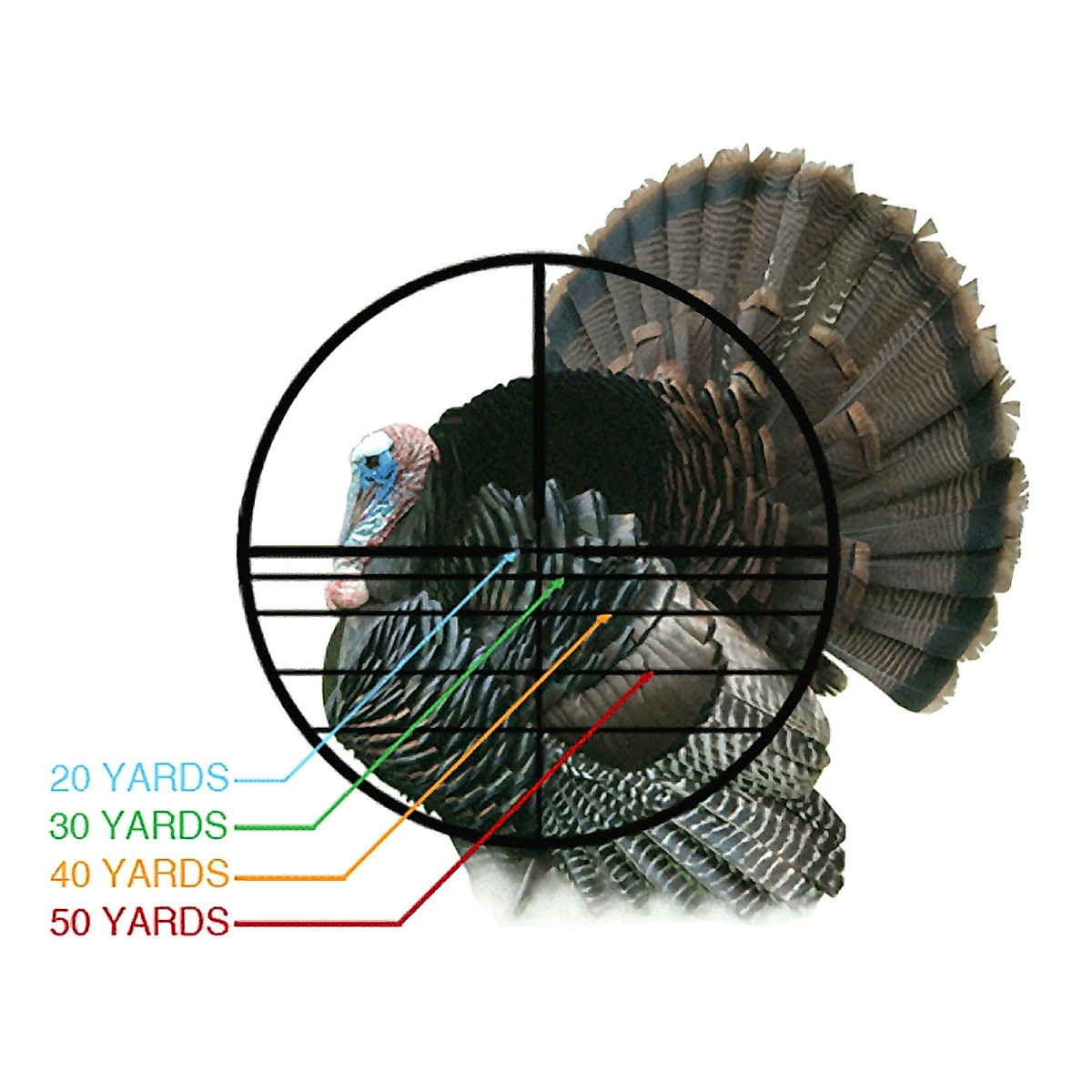 UTG 4X32 1" Crossbow Scope, Pro 5-Step RGB Reticle, QD Rings