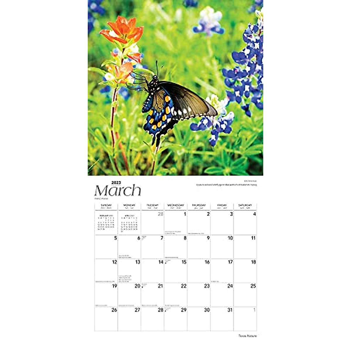 Texas Nature | 2023 12 x 24 Inch Monthly Square Wall Calendar | Foil Stamped Cover | BrownTrout | USA United States of America Southwest State Wilderness