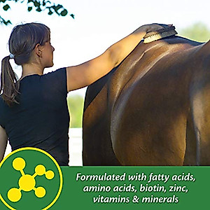 Farnam Super 14 Healthy Skin & Coat Supplement for Horses, Keeps Coats Shiny & Gleaming Year-Round 5 Pound, 80 Day Supply