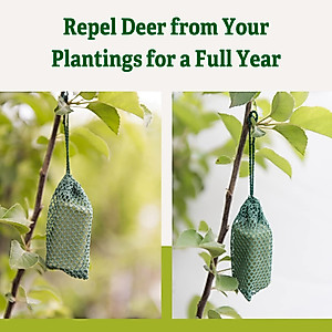 Gardeners Supply Company Deer Repellent Plant Pouches | Natural Citrus Scent Soap Based with Nylon Pouch Holder | Chemical Free Humane Deer Repel Outdoor Plants Protector | Set of 6