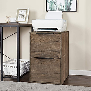 LUCYPAL 2 Drawer Wood File Cabinet,Wooden Storage Filing Cabinets with Hanging Bars for Letter Size and Home Office,Under Desk Storage Cabinet,Assembly Required (Grey)