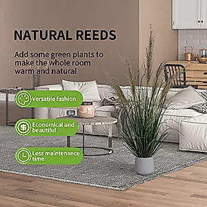 ECOFOREST 47" (4ft,1pack) Pampas Grass Potted Plants - Artificial Faux Plants Featuring Tall Grass, Fake Grass - Perfect Home Decor for Plant Room Decoration or As Floor Plants.