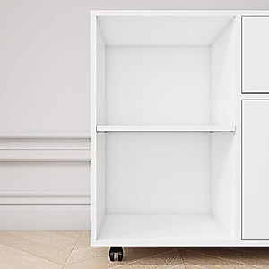 WAHEY File Cabinet, 2 Drawer Mobile Lateral Filing Cabinet with Open Storage Shelf, OLFC002