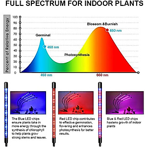 PYLYFE Full Spectrum Plant Grow Light, Grow Lights for Indoor Plant, Clip-on Full Spectrum Grow Light, Flexible Gooseneck, Automatic Timer, 4 Brightness Levels for Seedling Growing Blooming Fruiting 