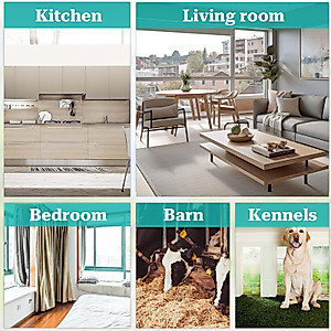 Large Window Fly Traps Indoor - Non-Toxic, Easy to Use and Effective, Fly Paper Bug Sticky Strips, House Fly Killer Window Gnat Traps, 25 Pack