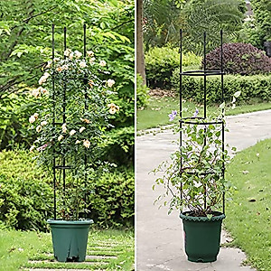 2 Pack Garden Trellis, 2 in 1 Plant Cages & Supports for Vines Crop, Plant Trellis for Climbing Plants Indoor Outdoor, Plant Stake for Flower, Vegetable, Tomato,Vines, Pot Trellis for Potted Plants