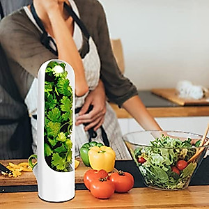 UEOZ Herb Saver for Refrigerator, Herb Saver Pod, Vegetable Preservation Bottle, Fresh Herb Keeper for Cilantro, Mint, Parsley, Asparagus, Keeps Greens Fresh for 2-3 Weeks (2PCS)