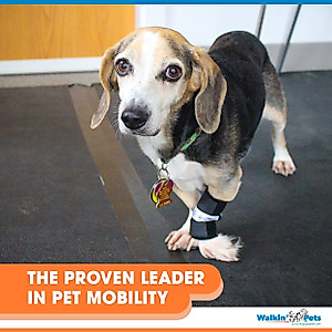 Walkin' Wrist Hugger Dog Brace for Front Legs | Carpal Wrist Joint Support for Dogs | Helps Canine Arthritis