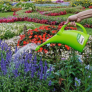 MyLifeUNIT Watering Can for Indoor Plants, Water Can with Shower Head, 1/2 Gallon (Green)