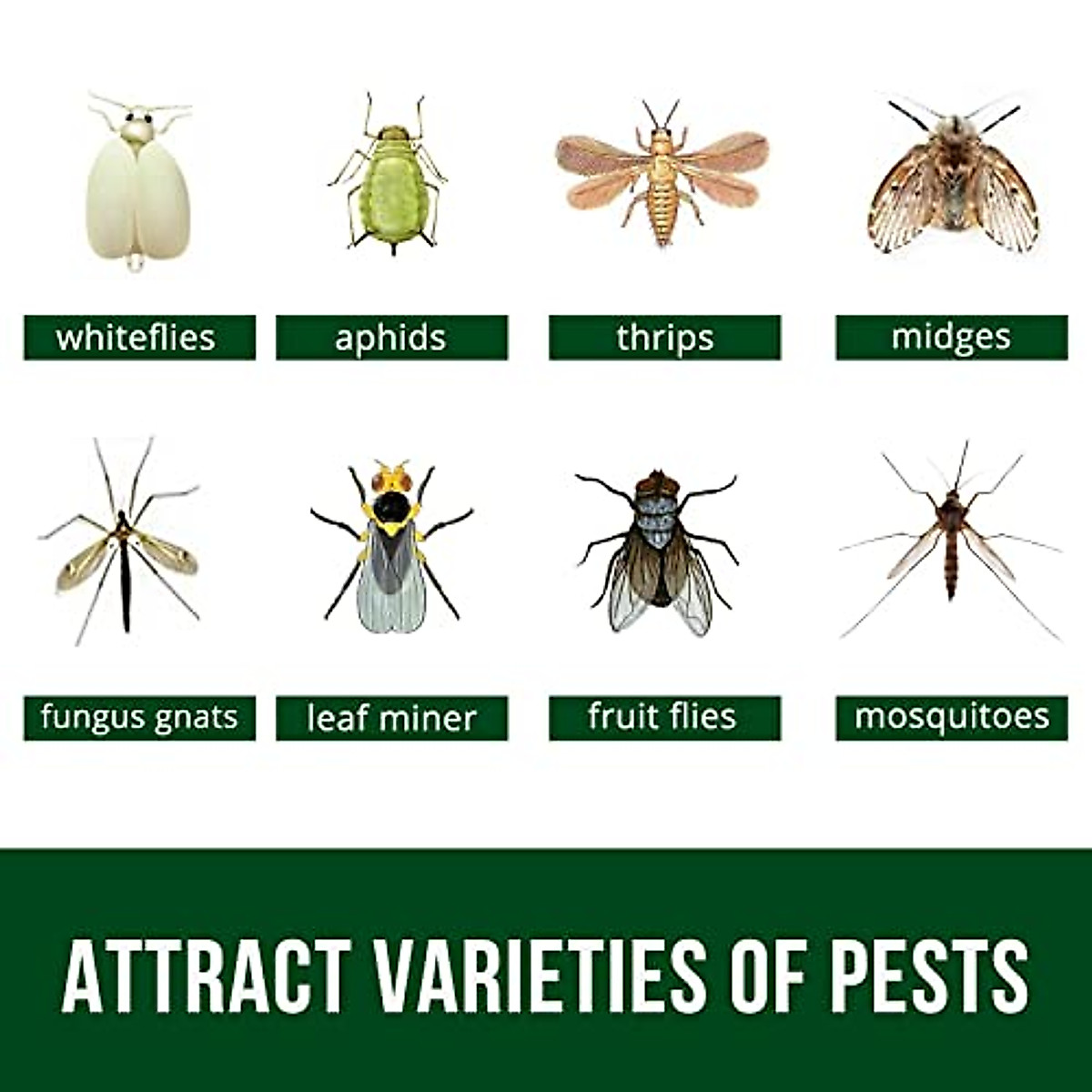 Garsum Gant Traps for Indoors,Fruit Fly Bugs Trap, Yellow Sticky Fungus Knit Killer for Houseplant,Mosquito, Flying Insert, White Flies,18 Pack