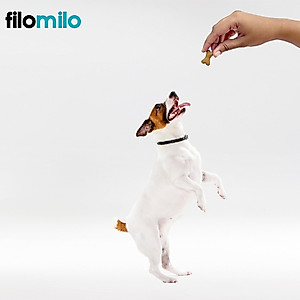filomilo – Real Chicken Biscuits (Treats) with Ayurvedic Brahmi Powder for All Type of Dogs_17.63 OZ (500 Grams - Chicken Flavour)