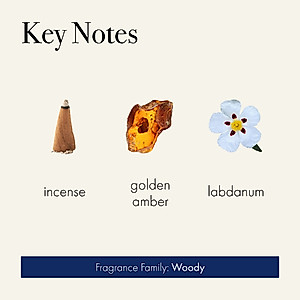 LAFCO LAFCO Amber Signature Candle, Study, 15.5 oz.