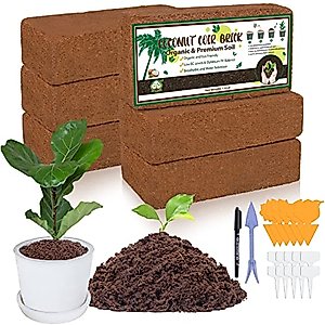 200 Pack 30mm Peat Pellets Seed Starter Pods, Seed Starter Soil Peat Pellets for Seedlings, Seeds Starting Peat Pellet for Planting Starter Pods Seeding Soil Peat Soil