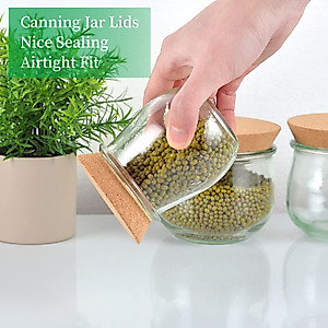 2 Pack Cork Lids Small Cork Lids for Jars Wood Jar Cork Lids Canning Lids Cork Bottle Lids Cork Lids Only for Kitchen Wedding Favor DIY Gift Canning Jars