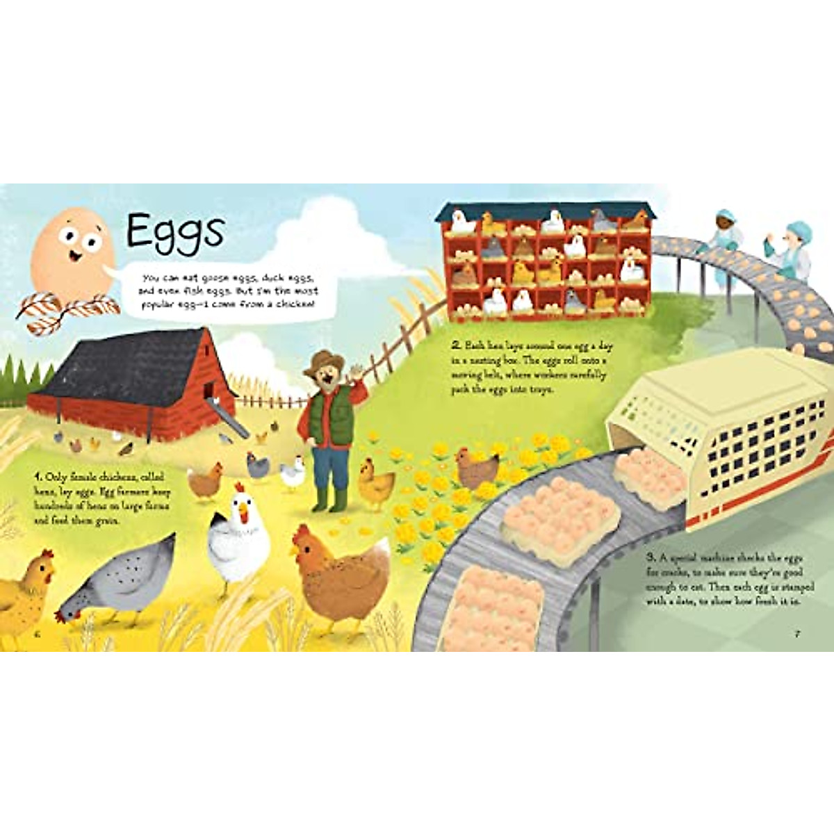 Where Does My Food Come From?: The story of how your favourite food is made