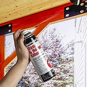 Spectracide PRO Wasp & Hornet Killer (Aerosol)(18 oz), Pack of 1, White Can