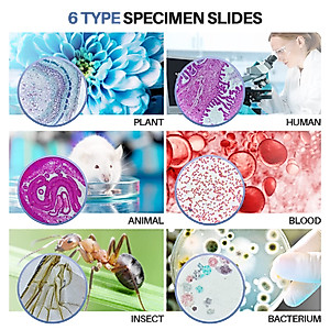 120Pcs Prepared Microscope Slides Animals Insects Plants Bacterial Sample Biological Slide Specimen for Kids Students Adults, for Science Study and Education
