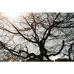 135 FUJIFILM 200 US FA 36EX 3CD