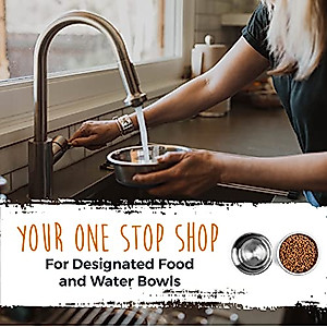 Mighty Paw Stainless Steel Dog Bowls (2 Pack) | Non-Slip Rubber Bottom and No Spill Design. Dishwasher Safe Metal Food & Water Dish Set for Small & Large Pet Breeds. (Small, Dogs <30 lbs, 5.5”)