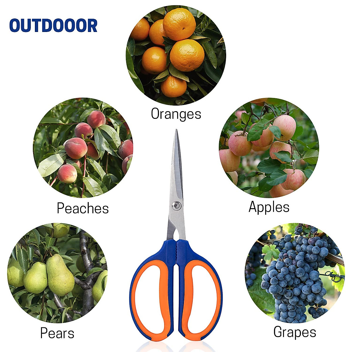 WISEPRO Bonsai Scissors, Gardening Cutters, Sharp Plant Trimming Shears, Flower Pruning Snips, Rose Cutting Tools with Stainless Steel Blade(6PACK)