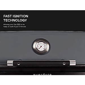 Everdure FORCE 2 Burner Gas Grill, Liquid Propane Portable BBQ Grill with Die-Cast Aluminum Body and Fast-Ignition Technology, 388 Square Inches of Grilling Surface, Adjustable Height, Graphite