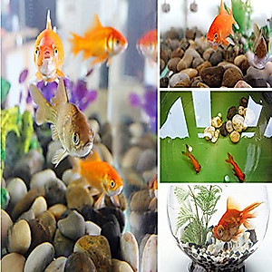 River Stones, Plants, Gardens, Landscapes, Succulents, Highly Polished Decorative Pebbles in Shapes and Sizes from 1-3 inches. (18LB, 1)