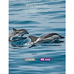 VIVIDSTORM-Projection Screen,Obsidian Long Focus ALR Slimline Motorized Office Presentation,Indoor Stand Movie Screen,Compatible with Lumen up to 2500ANSI Standard Throw Projector,VMSLALR120H