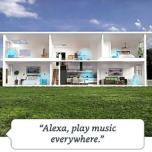 Echo Dot (4th Gen) with Clock | Glacier White with Sengled Bluetooth bulb | Alexa smart home starter kit