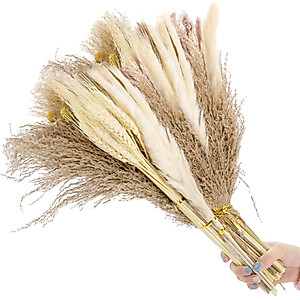 DEAYOU 65 PCS Natural Dried Pampas Grass, 17" Tall Dry Pampas Grass Branches for Boho Decor, Fluffy Pompous Reed Plants Stems Bundle for Flower Arrangements, Home Wedding Decor, 5 Styles