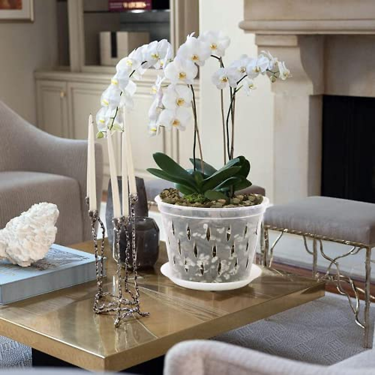 lanccona Orchid Pot, 8 Inch 4 Pack Orchid Pots with Holes and Saucers, Clear Plastic Orchid Pots