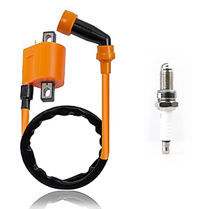 Ignition Coil CDI Box Spark Plug for Suzuki Arctic Cat 250 1999-2005 Cat 350 1998-2005 Quadrunner 250 1988-200 Quadrunner 4WD 1987-1993 King Quad 300 1995-2002 32900-19B40 32900-19B50