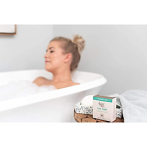 Soapbox Tea Tree Shampoo Bar for Dry Scalp | Natural, Eco Friendly, Vegan | Color Safe, free of Sulfates, Parabens, Silicones, Cruelty Free, 3.1oz (Pack of 1)