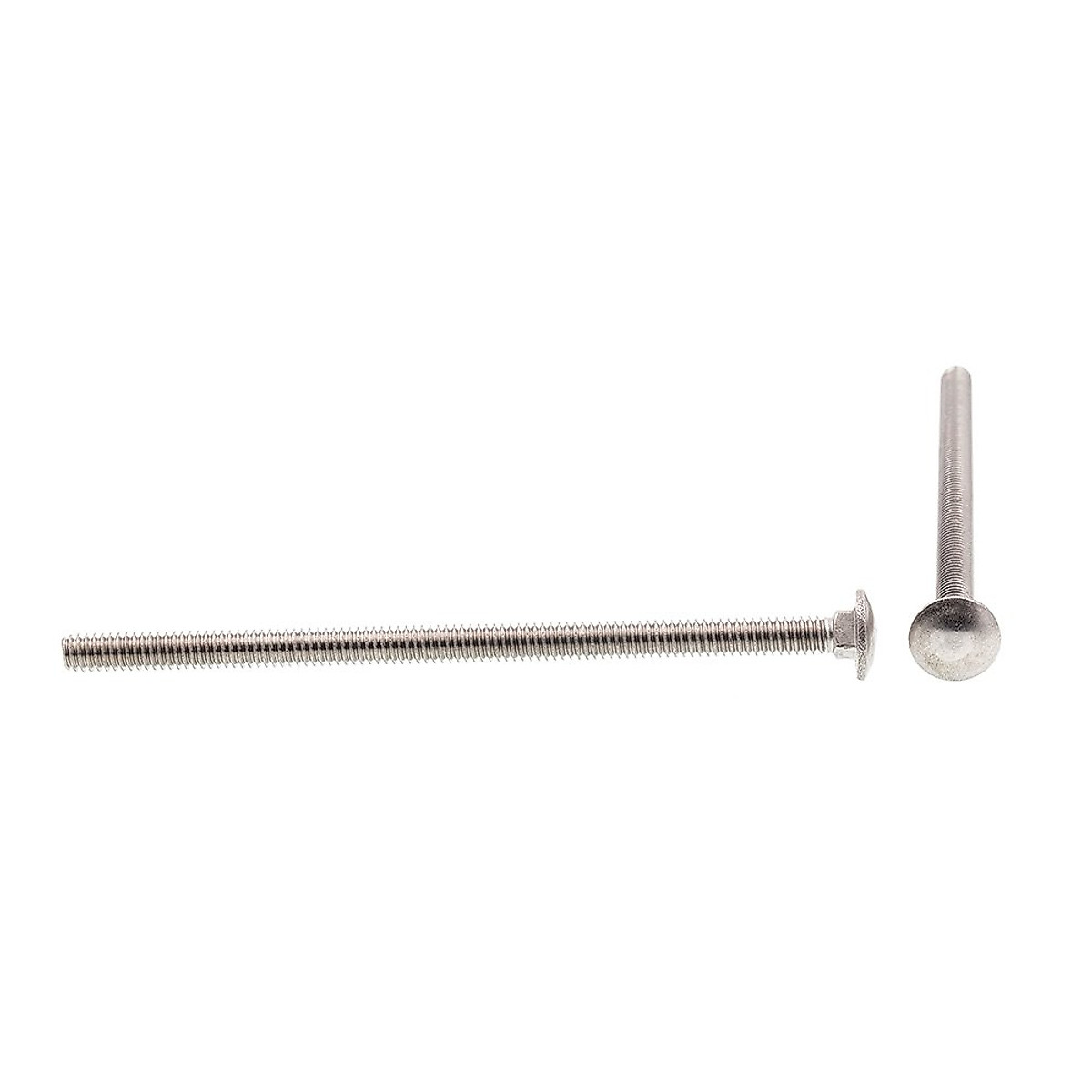 Prime-Line 9062614 Carriage Bolts, 1/4 in-20 X 5 in, Grade 18-8 Stainless Steel (10 Pack)