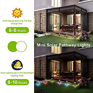 RIDALUX Solar Pathway Lights 12 Pack, Outdoor Waterproof Garden Lights Auto On/Off, Landscape Lighting Decorative for Yard Walkway Driveway Lawn