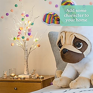 Easter Pom Pom Garlands (2 x 120 Inches - 40 Balls Each, 25mm Diameter) Colorful Pom Ball Decoration Strings with Pastel Rainbow Effect (4