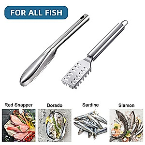 5 Pieces Fish Scaler Remover with Stainless Steel Sawtooth Easily Remove Fish Cleaning Scales Kit,Kitchen Fish Scaler Tool with Cut Resistant Gloves, Suitable for All Kinds of Fish