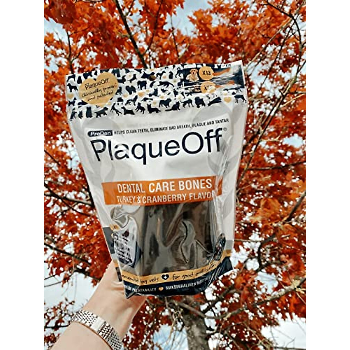 Proden PlaqueOff System Dental Care Bones Turkey & Cranberry Flavor Dental Dog Chew, 17-oz Bag