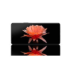 Sony Xperia 10 II XQ-AU52 128GB 4GB RAM Factory Unlocked (GSM Only | No CDMA - not Compatible with Verizon/Sprint) International Version - Black