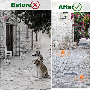 12 Pack Cat and Dog Repellent Balls - Natural Peppermint Oil Cat Deterrent for Indoor/Outdoor Use, Keeps Stray Cats Digging Dogs Away from Yard, Lawn, Garden, and Furniture - Safe for Pets and Family