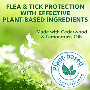 Hartz Nature’s Shield Flea & Tick Spray Treatment for Dogs, Natural and Effective Flea & Tick Prevention and Protection for Dogs with Cedarwood and Lemongrass Oil, 14 Ounces