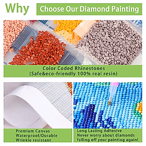 JAKI Diamond Painting Kits for Adults 5D Diamond Art Kits for Kids Beginners DIY Round Full Drill Diamond Painting by Number for Home Wall Decor 12x16 inch