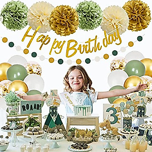 Sage Green Birthday Party Decorations with Happy Birthday Banner,Gold Fringe Curtain,Circle Dots Garland,Tissue Pompoms,Paper Tassels Garland for Girls Women Birthday Decor