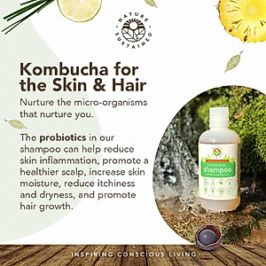 Nature Sustained Organic Shampoo - Raw & Wildcrafted with Probiotics, Hypoallergenic Natural & Sulfate Free Shampoo for Sensitive Scalp, Dry Hair, Dandruff, Eczema & Psoriasis, 9oz, Lemongrass