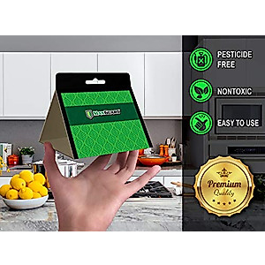 MAXGUARD Pantry Moth Traps (12 Pack +2 Free) with Extra Strength Pheromones | Non-Toxic Sticky Glue Trap for Food and Cupboard Moths in Your Kitchen | Trap and Kill Seed Grain Flour Meal Moths |