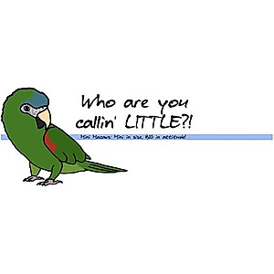 CafePress Little_Hahnsmacaw_Bev Mug Ceramic Coffee Mug, Tea Cup 11 oz