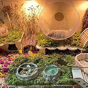 DR.DUDU 15L Forest Moss for Hamster Bedding Nesting, Syrian Gerbils Hamster Cages Accessories, Perfect for Small Animals Terrarium Moss