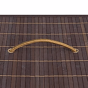 HOMIUSE Laundry Hamper 16"x12"x24" Brown Laundry Basket Bag Hamper With Lid Baby Laundry Basket Clothes Basket Laundry Bin Small Laundry Collapsible Laundry Basket Dirty Clothes Hamper 19 gal