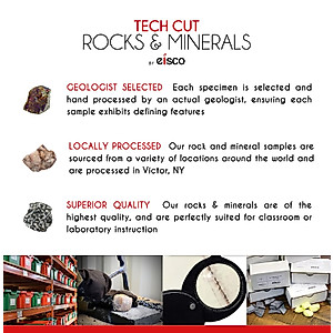 6PK Oolitic Limestone, Sedimentary Rock Specimens - Approx. 1" - Geologist Selected & Hand Processed - Great for Science Classrooms - Class Pack - Eisco Labs